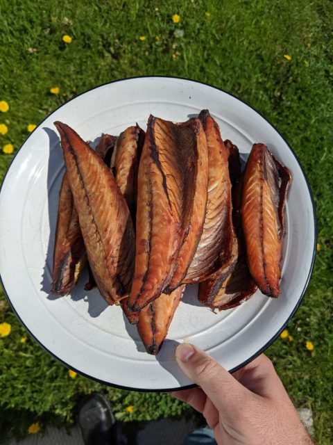 How to Smoke Mackerel: A Guide to Dry Smoking and Wet Smoking